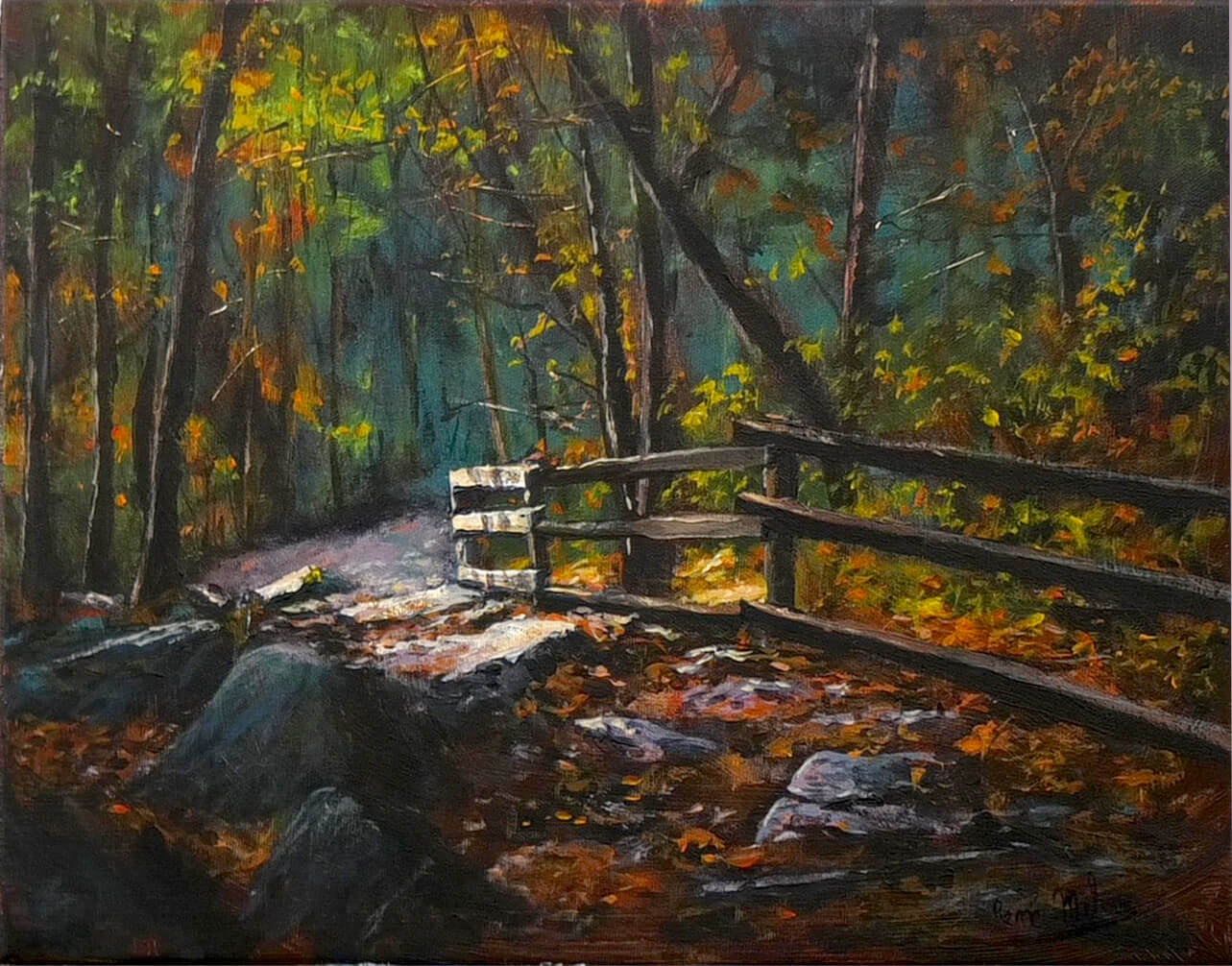 Présentation cours avancé spécial 50